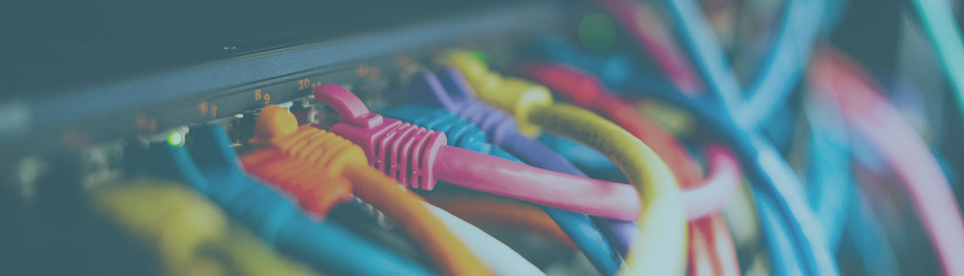 Switching - TrueGEN - Securing your network